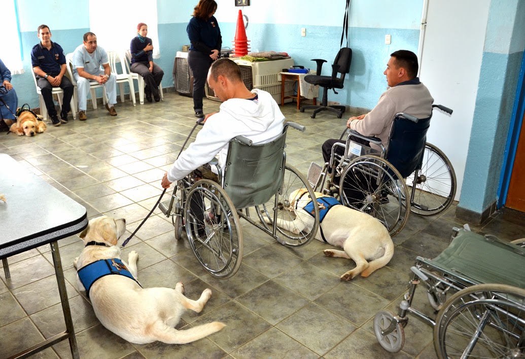 PRISON DOG PROGRAMS ~ BRIDGES and PATHWAYS of COURAGE: Sister Pauline's ...