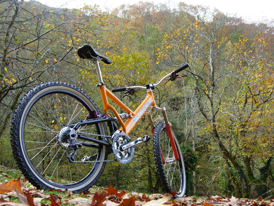 CATÁLOGO DE LA BICI RETRO: SKROL V6