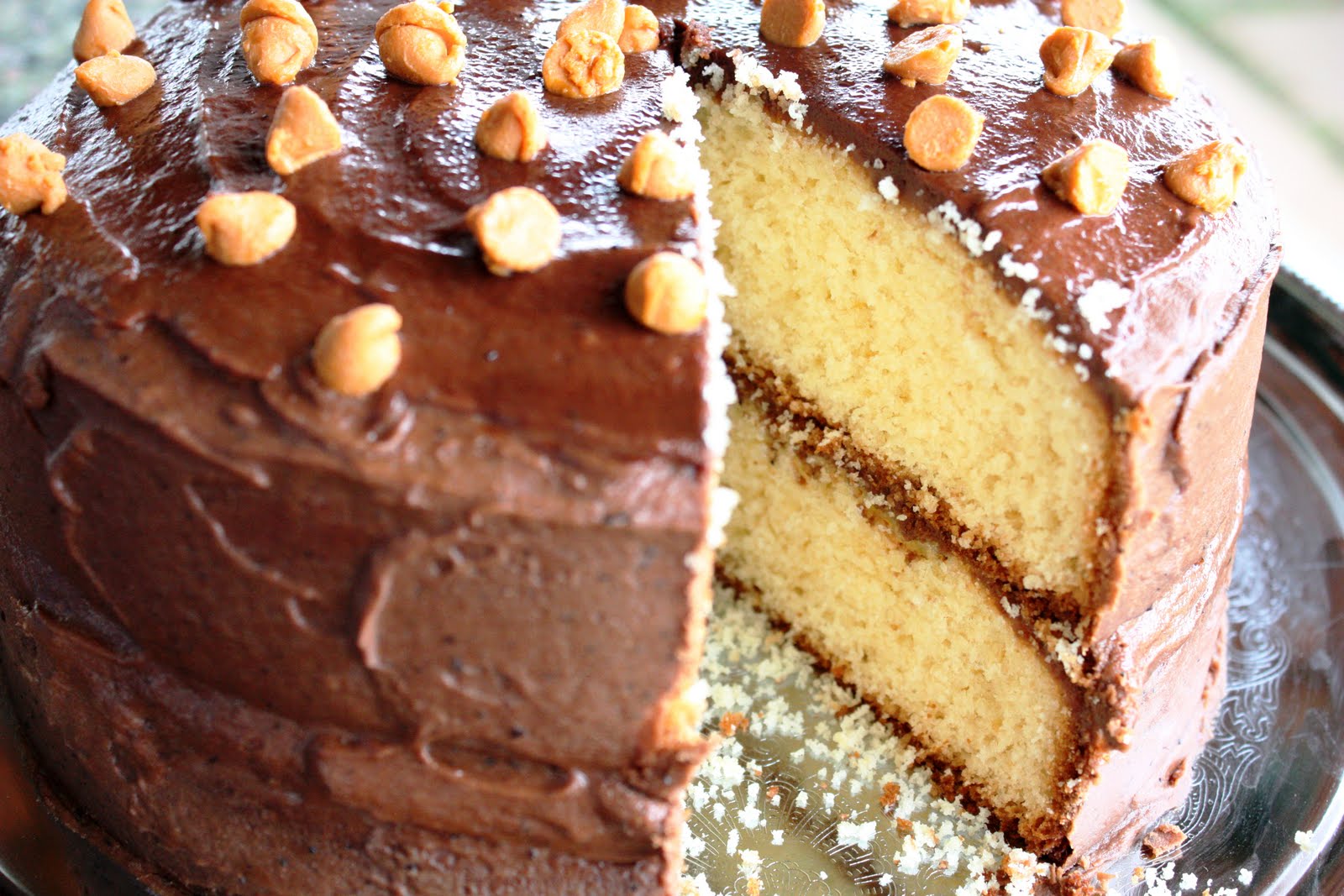 Fudge Together: Mocha Sponge Cake