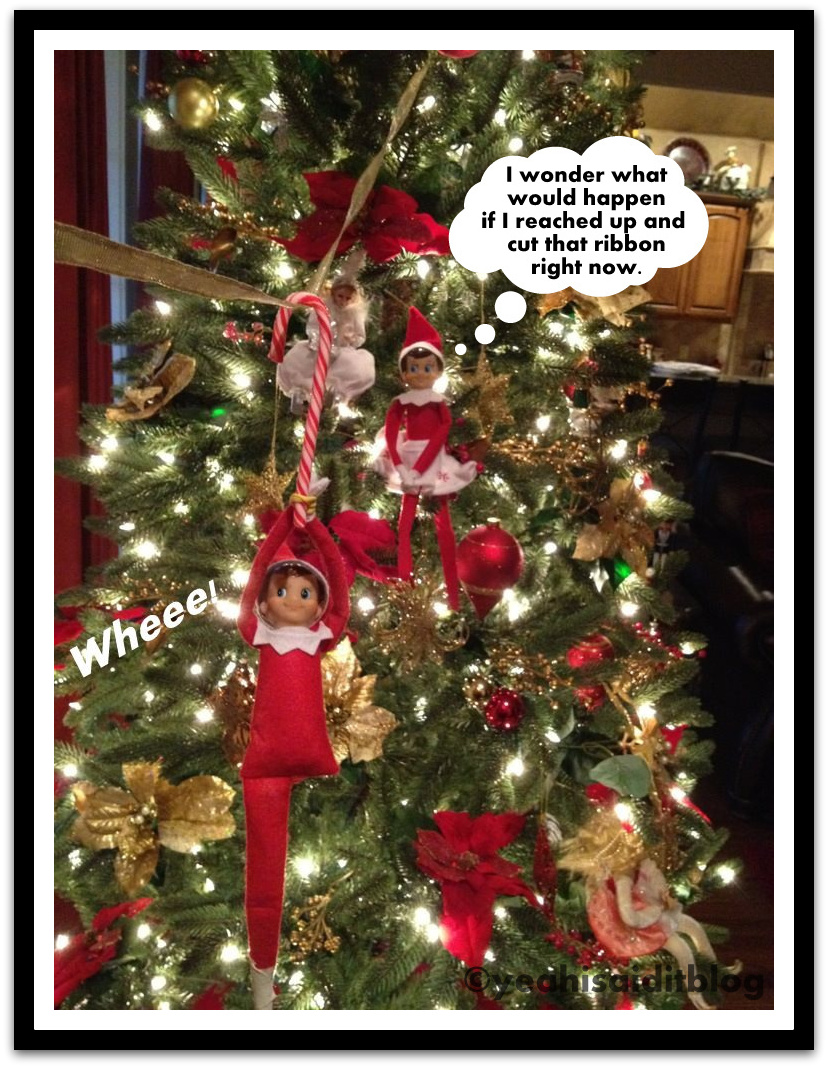 Yeah, I said it.: Elf on the Shelf: A Christmas Story
