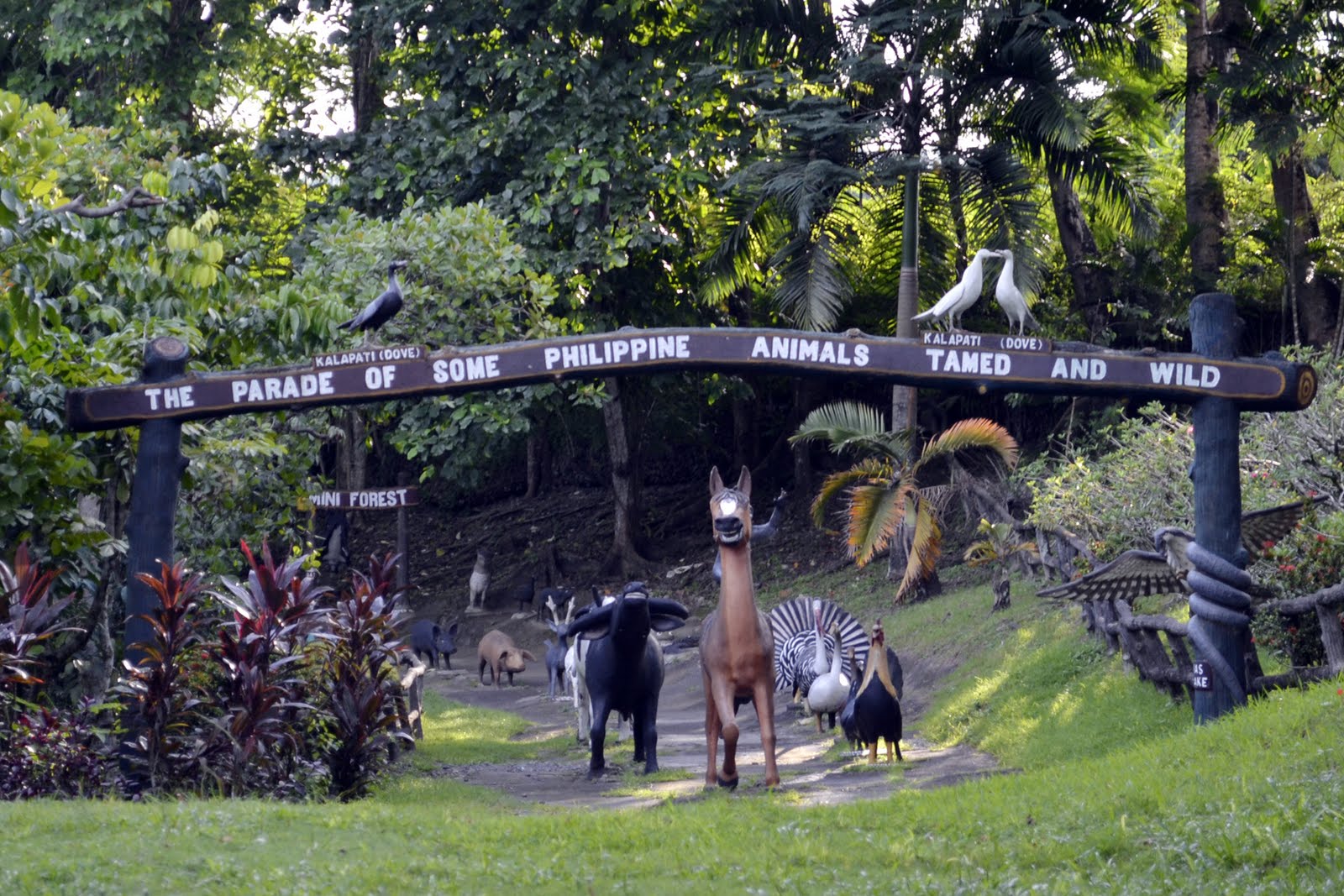 Wy Blog: Davao Gap Farm Resort