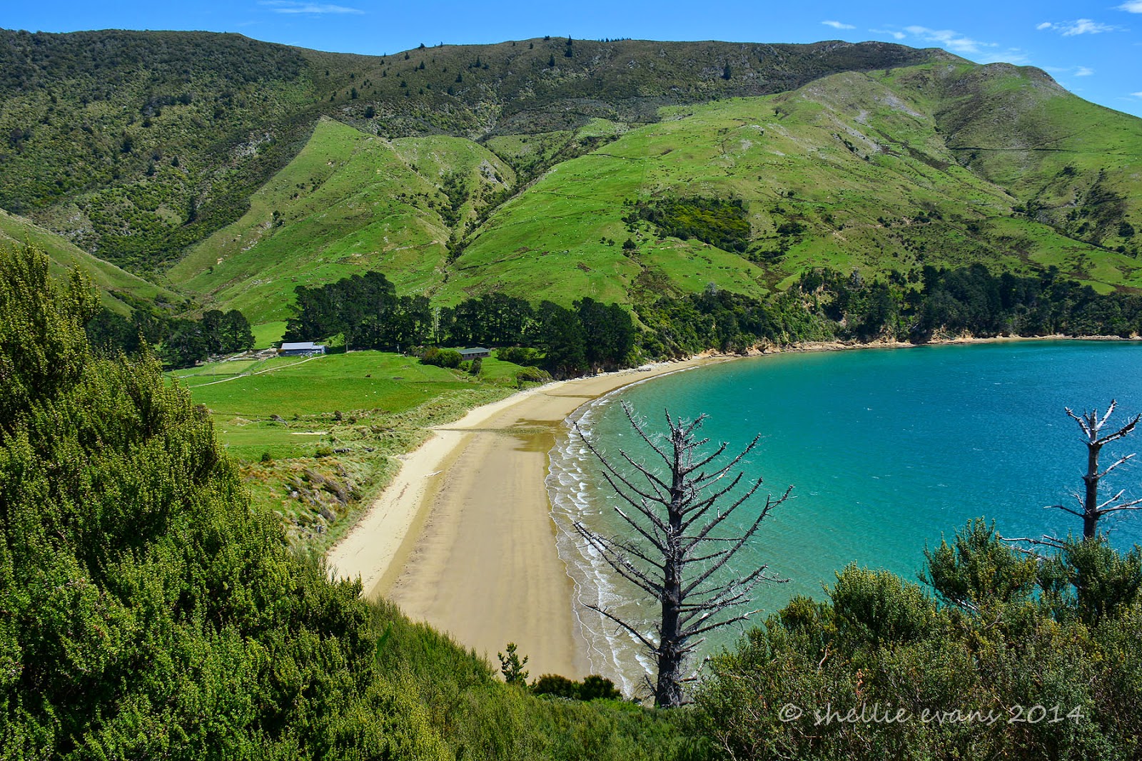 Two Go Tiki Touring: The End of the Road- Titirangi