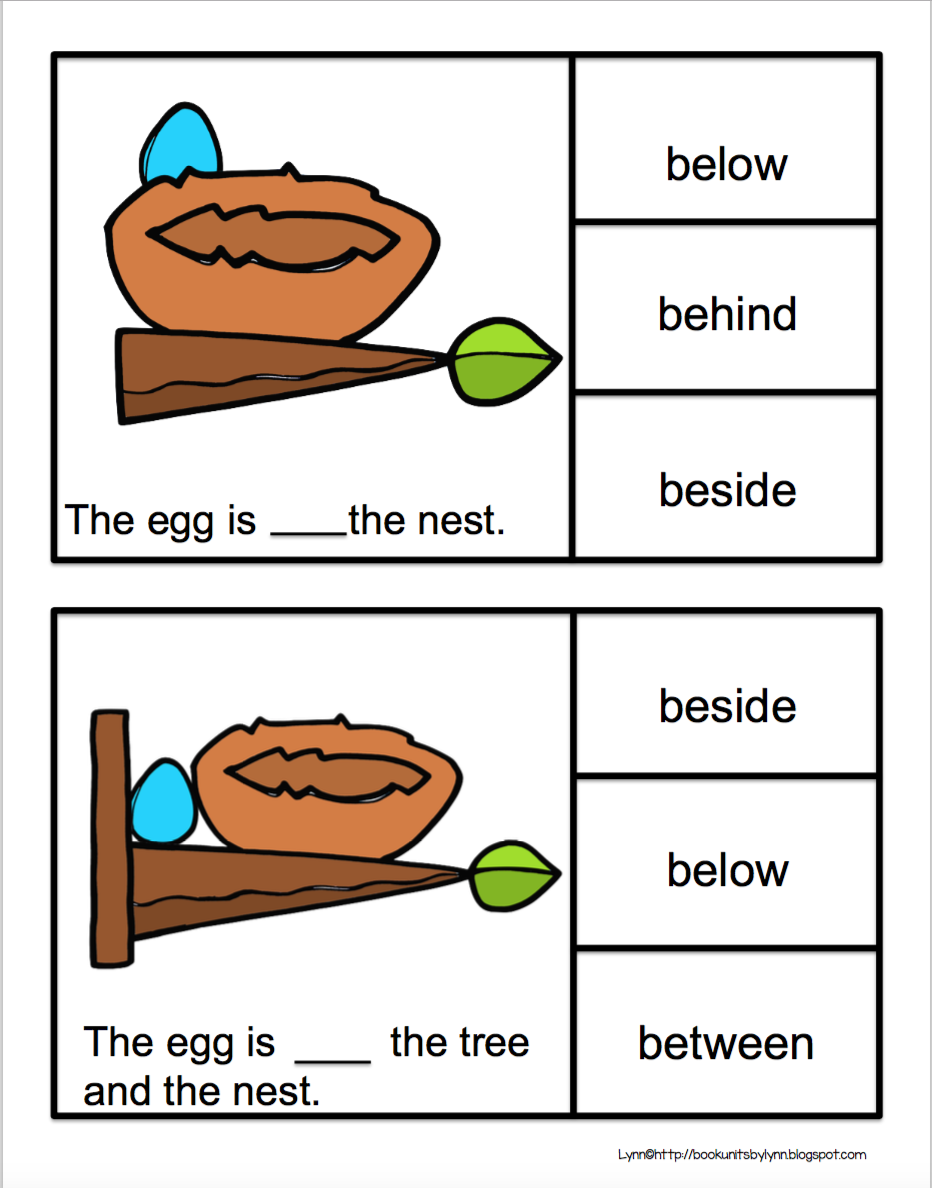 BIRD NEST PREPOSITIONAL SET ~ Book Units by Lynn