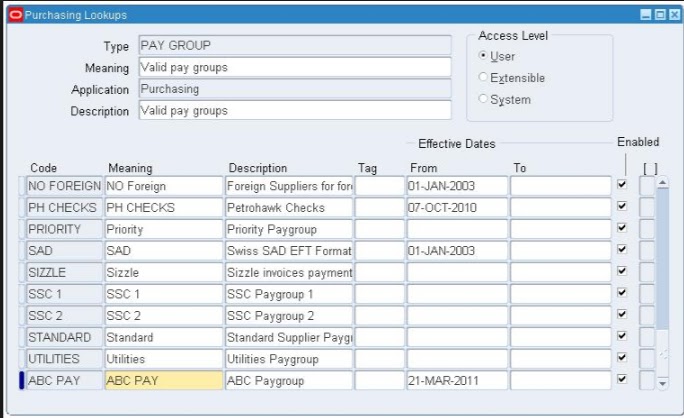 Oracle Certified Applications Specialist - Functional: What is Paygroup in Oracle Payables