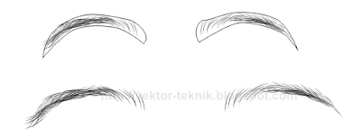 Tutorial Menggambar Alis Mata Bayi (Vector) | Menggambar Vektor