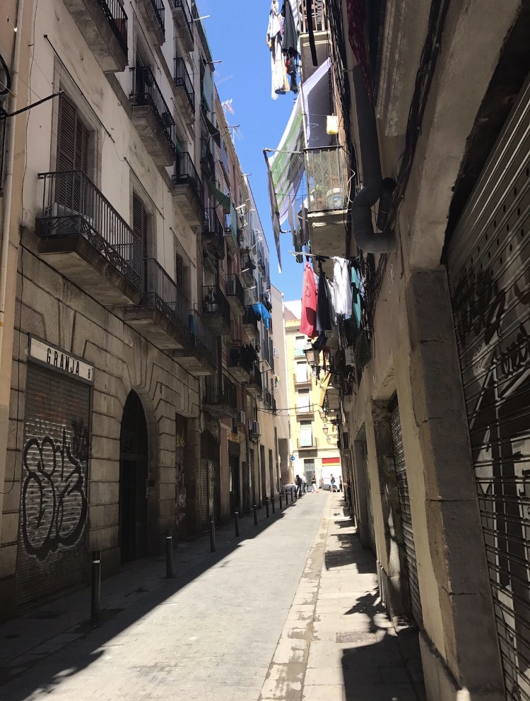 Viu Barcelona: Barris mes representatius(El Raval)