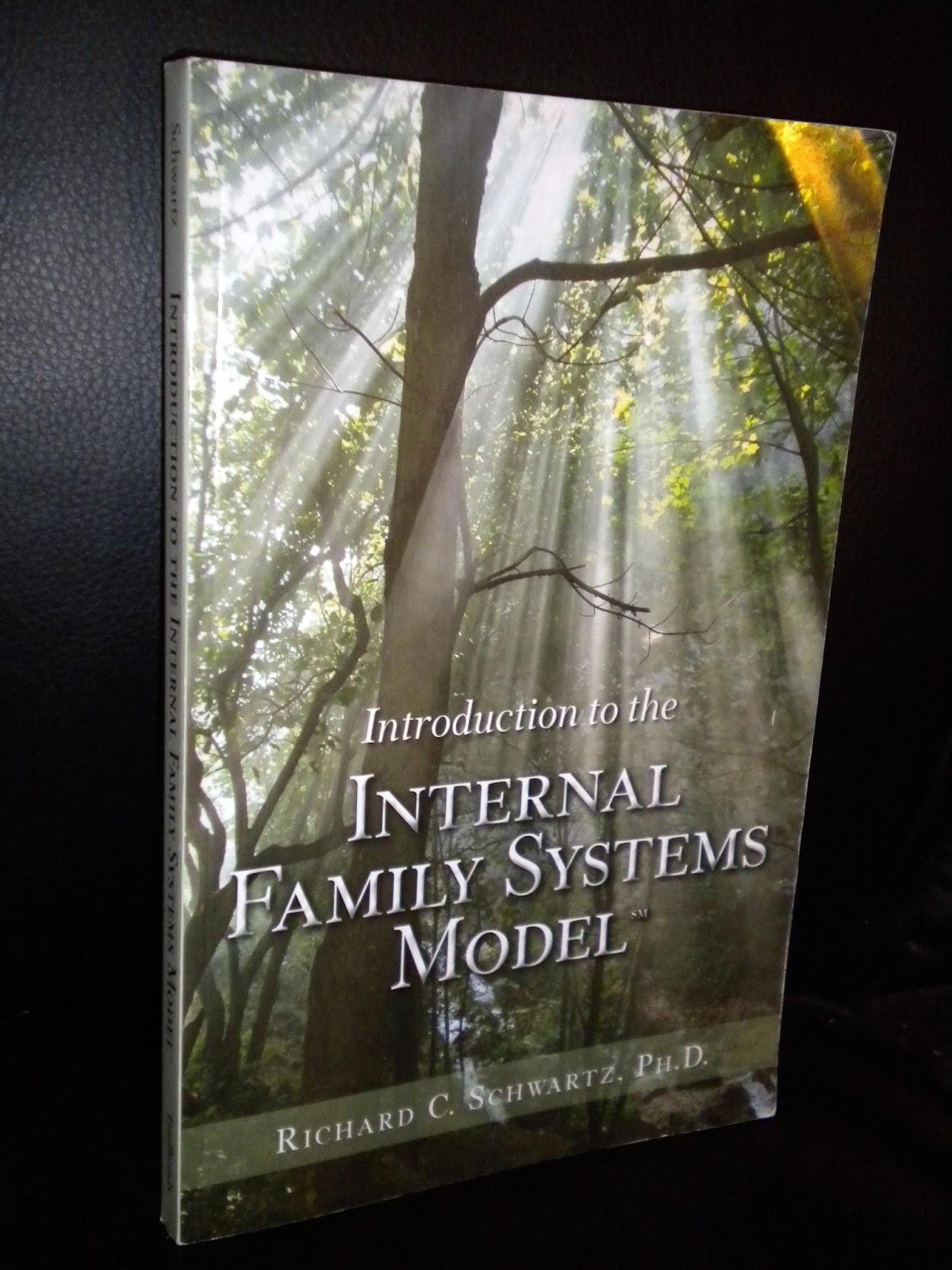 Introduction to Internal Family Systems | Holistic Living: Mind and Body