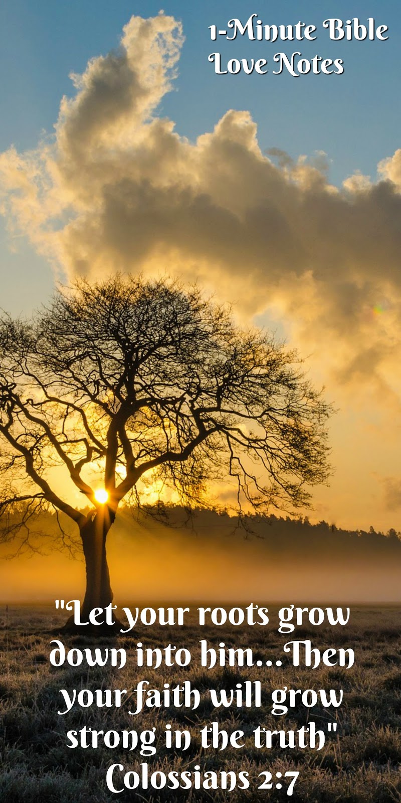 1-Minute Bible Love Notes: Rooted and Established in Love - Ephesians 3:17