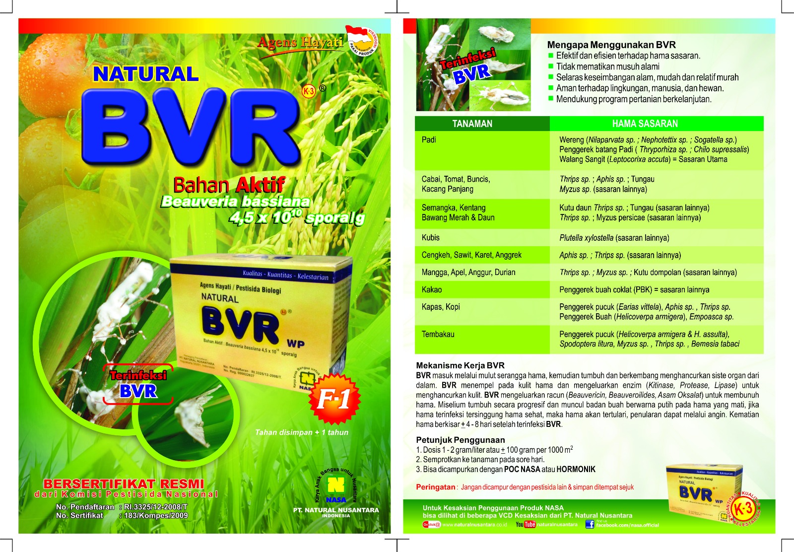 macam-macam hama dan penyakit pada pohon karet dan cara pengendalian ...