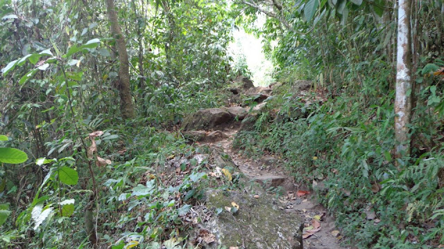 Conquering Mountains: Mt. Manabu - The Wandering Juan