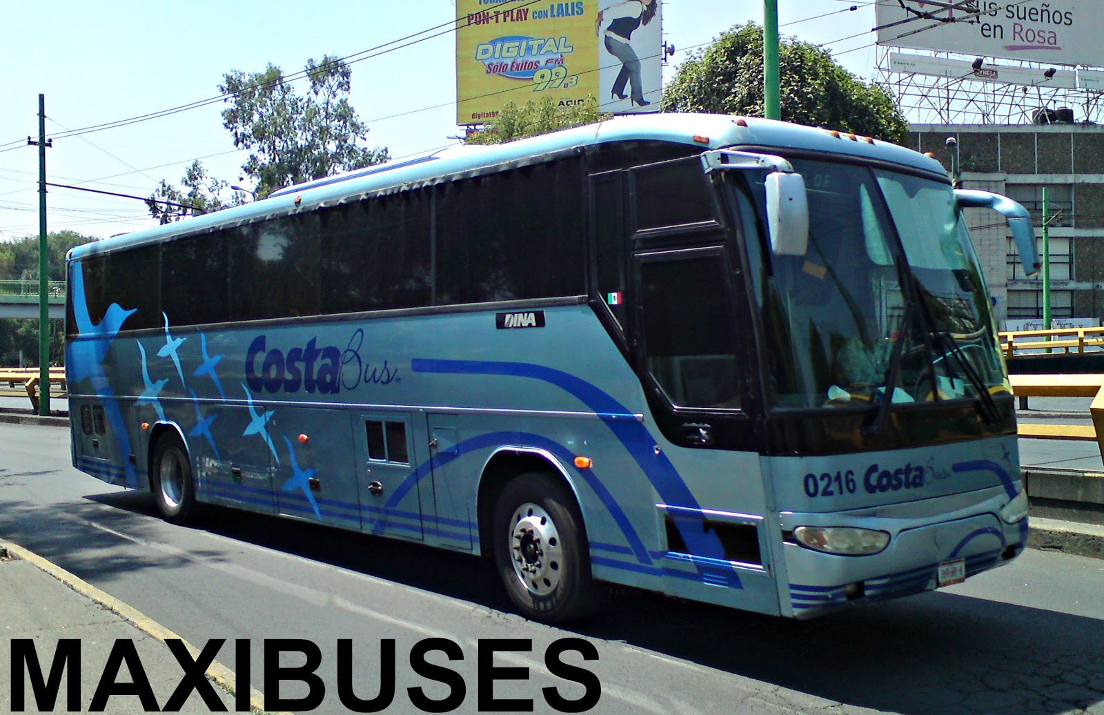 MAXIBUSES: ESPECIAL DEL RECUERDO - COSTA BUS