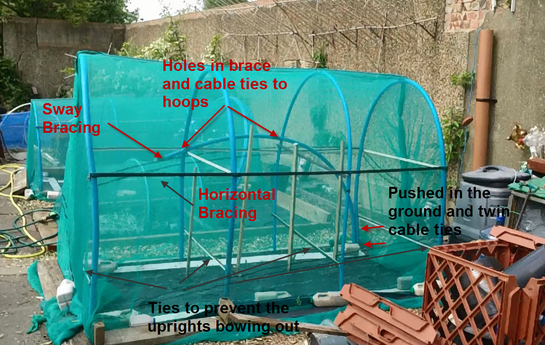 Alans Allotment: Blue Water Pipe & Netting