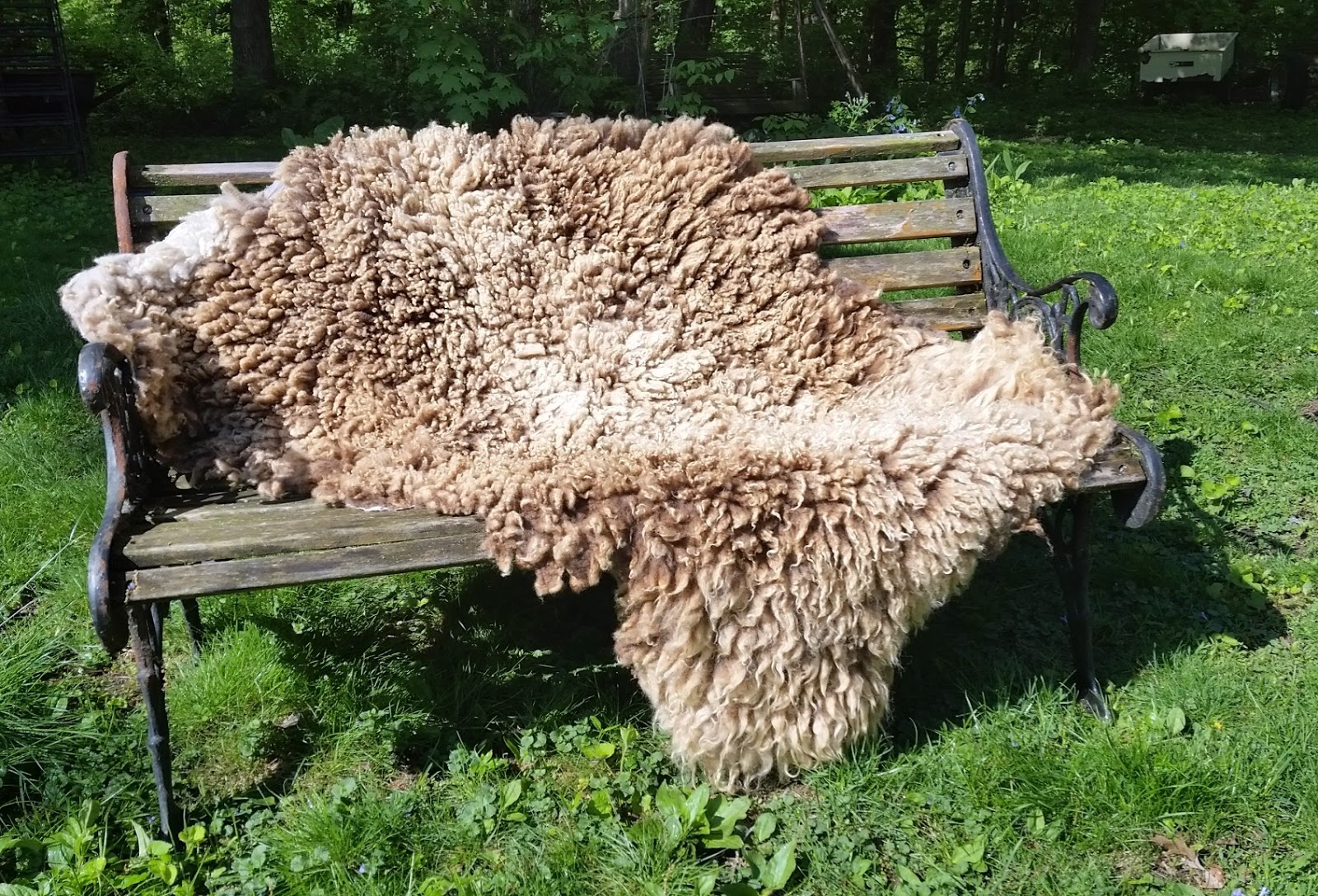 Becky Utecht Felt & Fiber: Felted Pelt Class this Saturday!