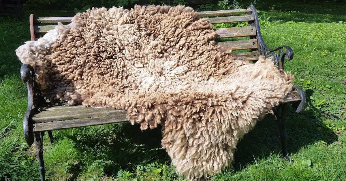 Becky Utecht Felt & Fiber: Felted Pelt Class this Saturday!