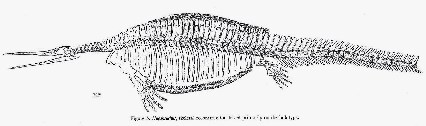 Waxing Paleontological: Whale Lizards of the Triassic, Part I