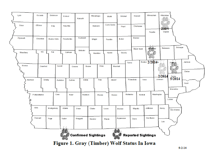 Grinnell Stories: Dancing with Wolves...