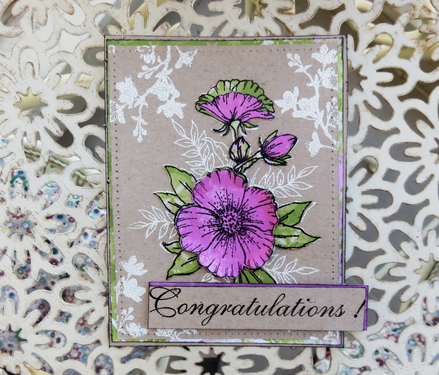 Magenta: Congratulations Card - Carte de félicitations
