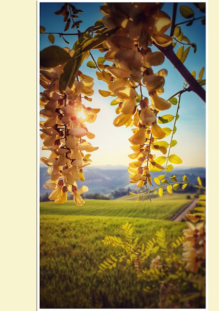 our Jewish little place: Chodesh Tov Iyar