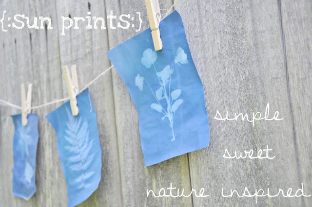 Simple Daisy: {Sun Prints Inspired by Nature}