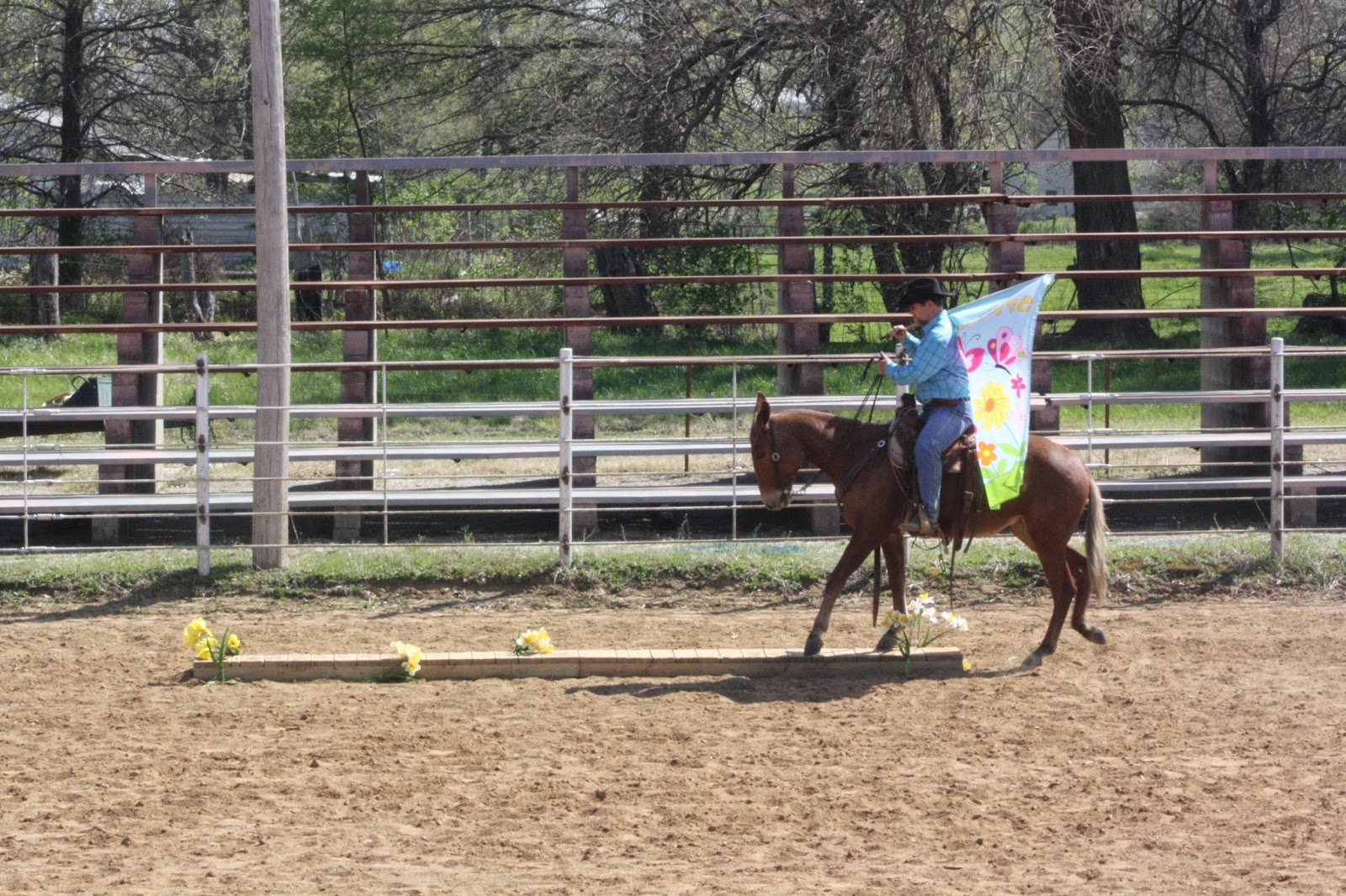 PairADice Mules: Extreme Cowboy Race Association