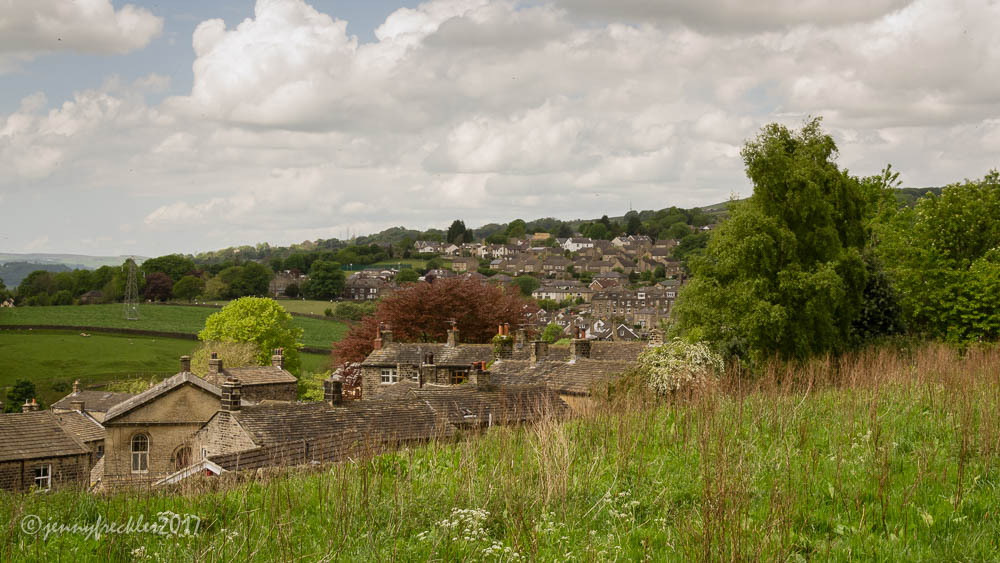 Saltaire Daily Photo: Micklethwaite (Walk part 2)