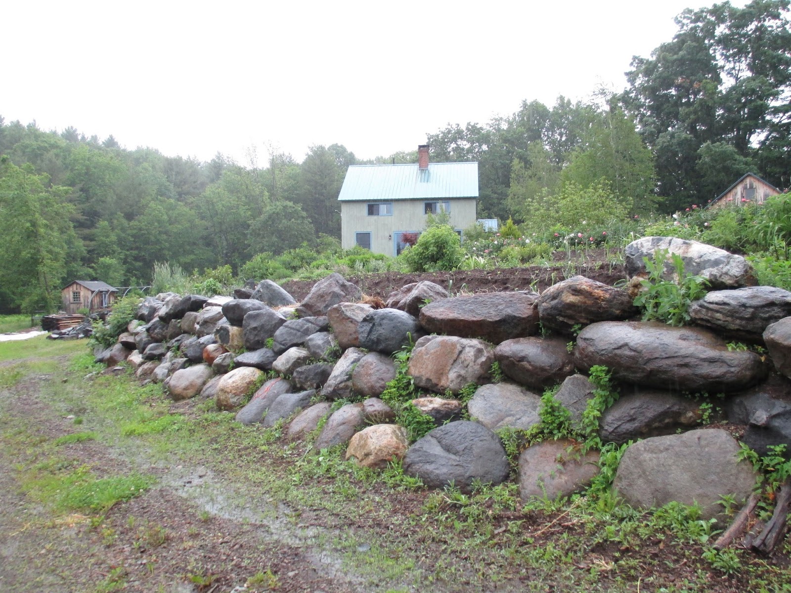 The View From Wilder Hill: Planting the Rock Wall