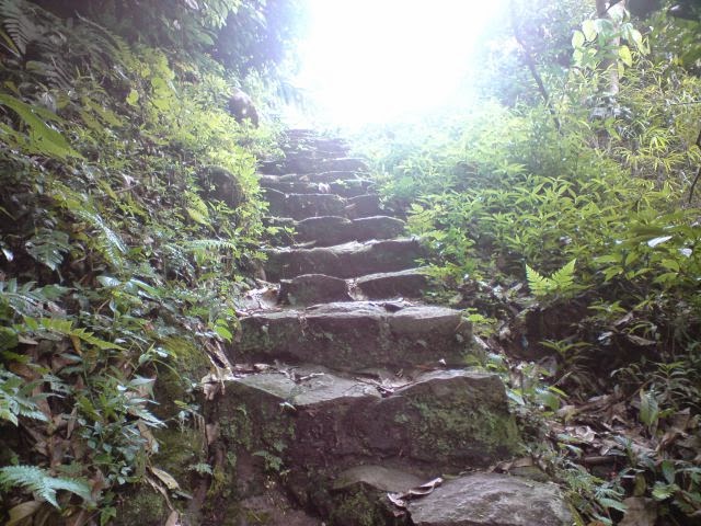 Wana Wisata Curug Semirang – Wisata Alam di Kabupaten Semarang ...