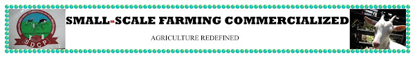 SMALL-SCALE FARMING COMMERCIALIZED: LUCRATIVE FISH FARMING