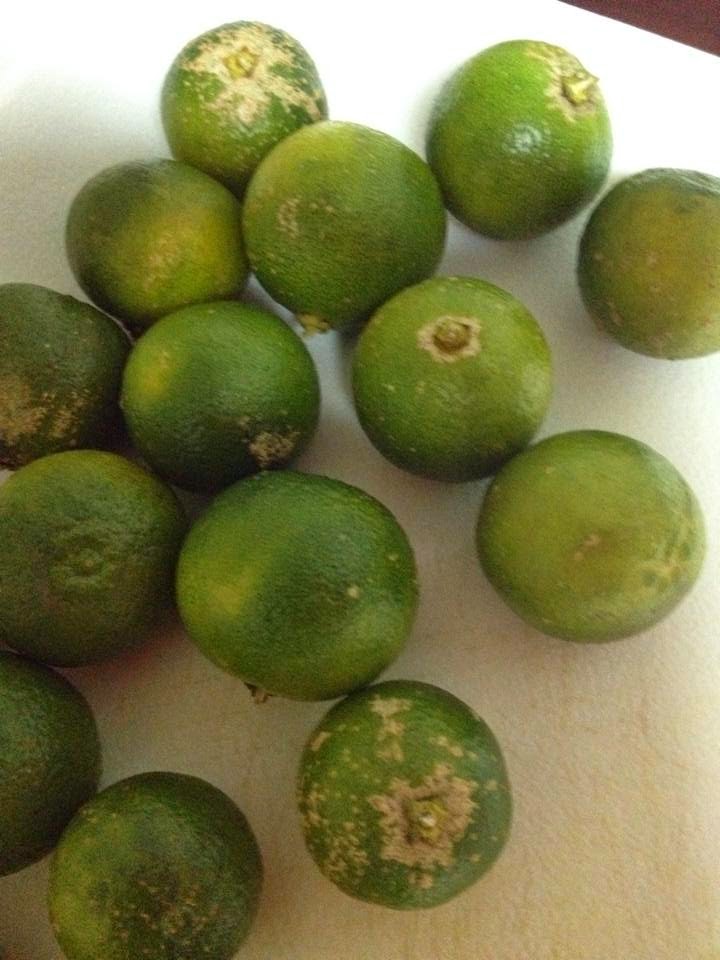 Things2Share: 2 Reasons Why You Should Start Your Daily Calamansi Habit