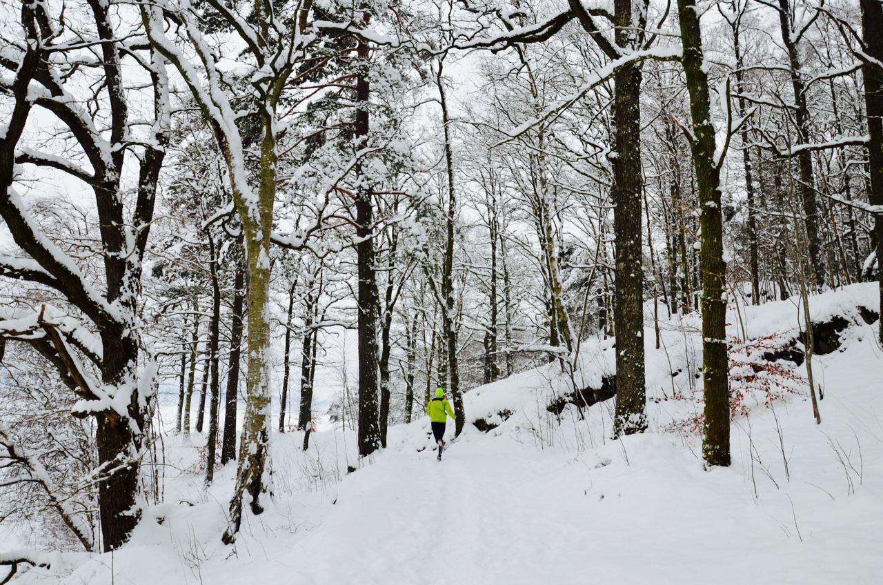 SFI Mölndal: Mörk vinter eller glad vinter?