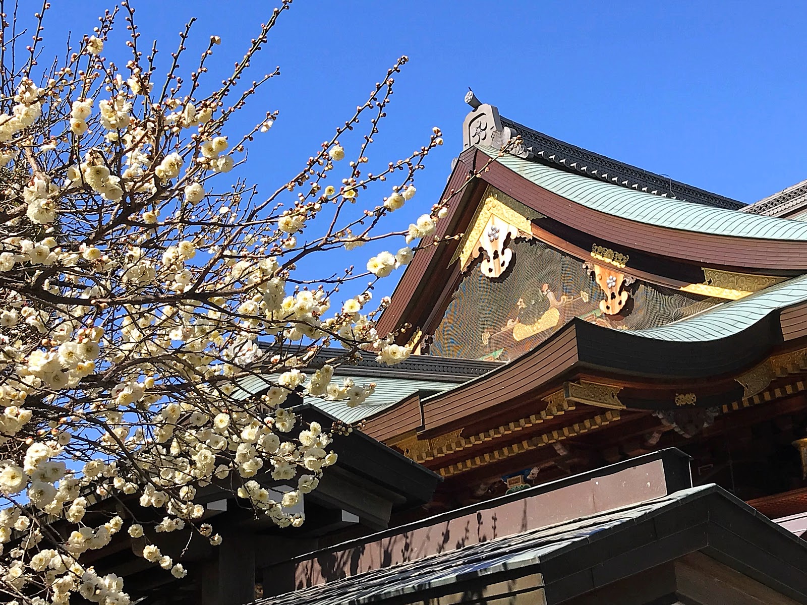 Spring in Tokyo: Plum Blossom Viewing at Ueno's Yushima Tenmangu Shrine ...
