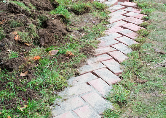 DIY Herringbone Brick Garden Path HOW TO GUIDE / Reclaimed Brick Tile Blog