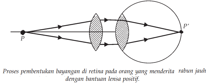 Prinsip Kerja Alat-Alat Optik - SERBA SERBI