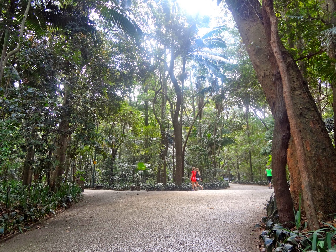 Parque Trianon ou Tenente Siqueira Campos em São Paulo ~ Áreas Verdes ...