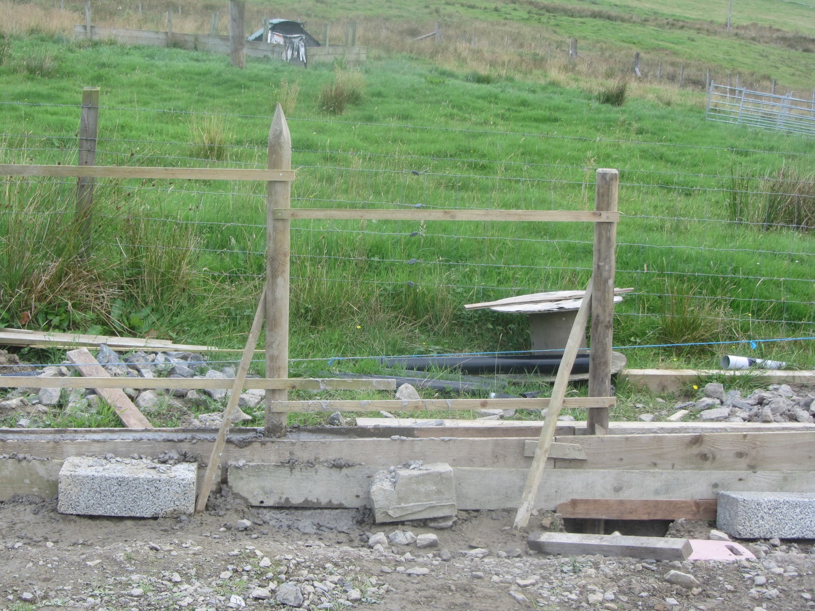 Us in Orkney: Polycrub Part 1