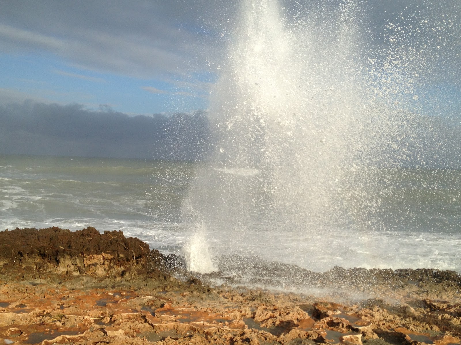 Fun Florida Mom!: BLOWING ROCKS PRESERVE - Jupiter Island, Fl.