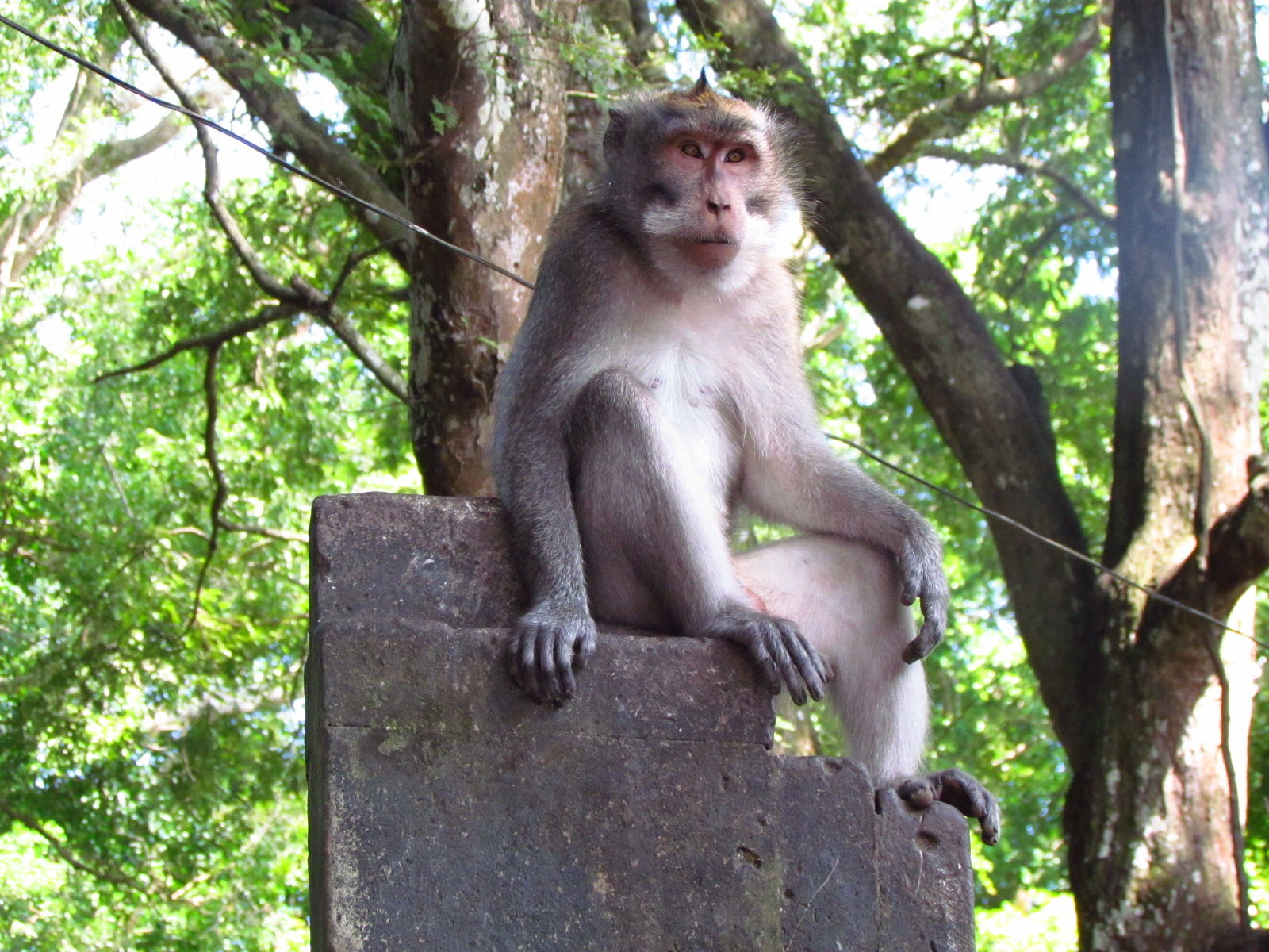 Exploring the Village of Ubud