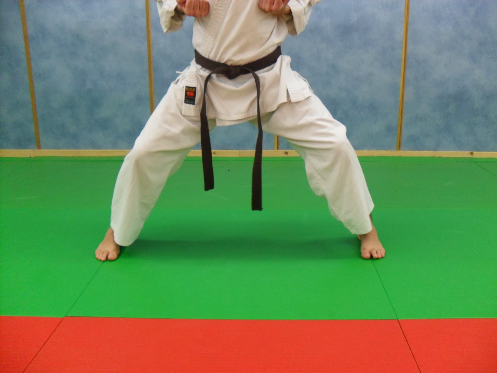 Japanese in Karate: Japanese in Karate 19 "Tachi"