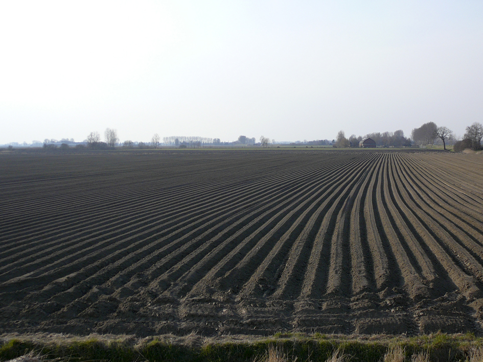 MIJNVRIJETIJDSBLOG: Fietstocht Axel -Terneuzen - Axel MIJNVRIJETIJDSBLOG: Fietstocht Axel -Terneuzen - Axel