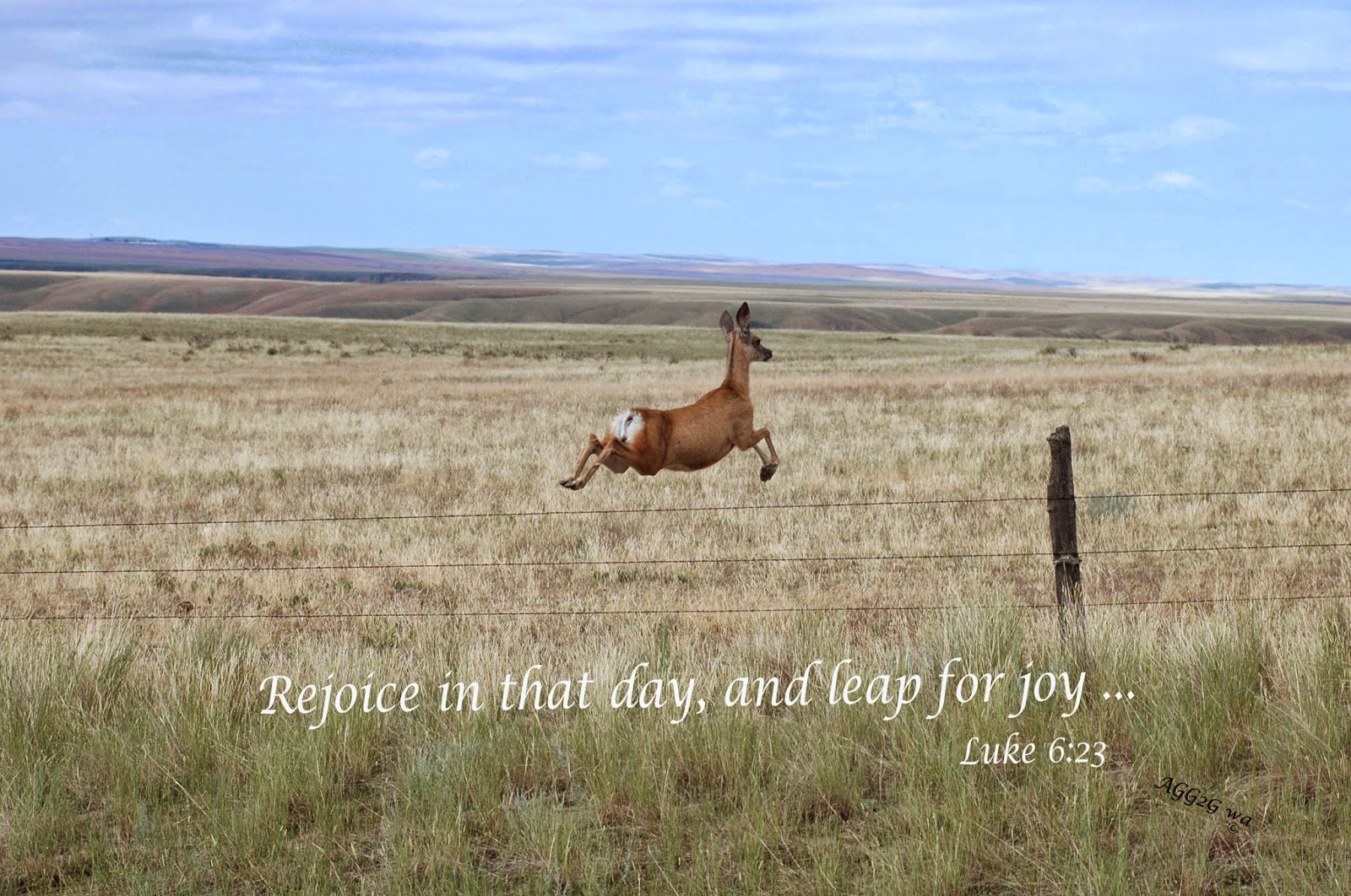 All Glory Goes 2 God Photoblog: Rejoice During Persecution