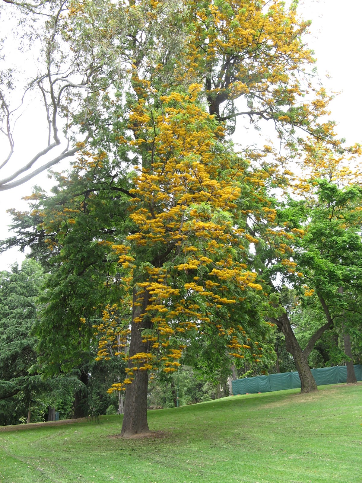ROADSIDE IKEBANA: 2012