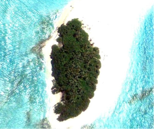 Tongan Tropical Moist Forests: Forest Cover