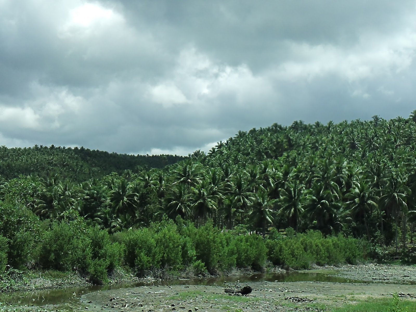 Galaan ni Denz : Mulanay, Quezon Province (Hidden Sanctuary)