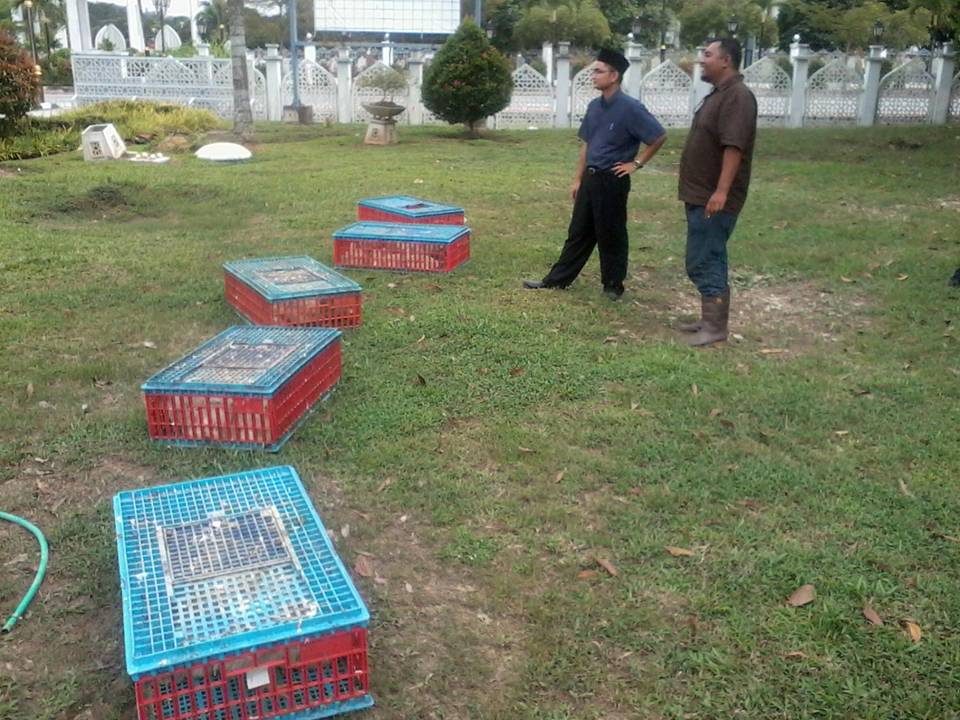 Kursus Sembelihan Halal JAIS