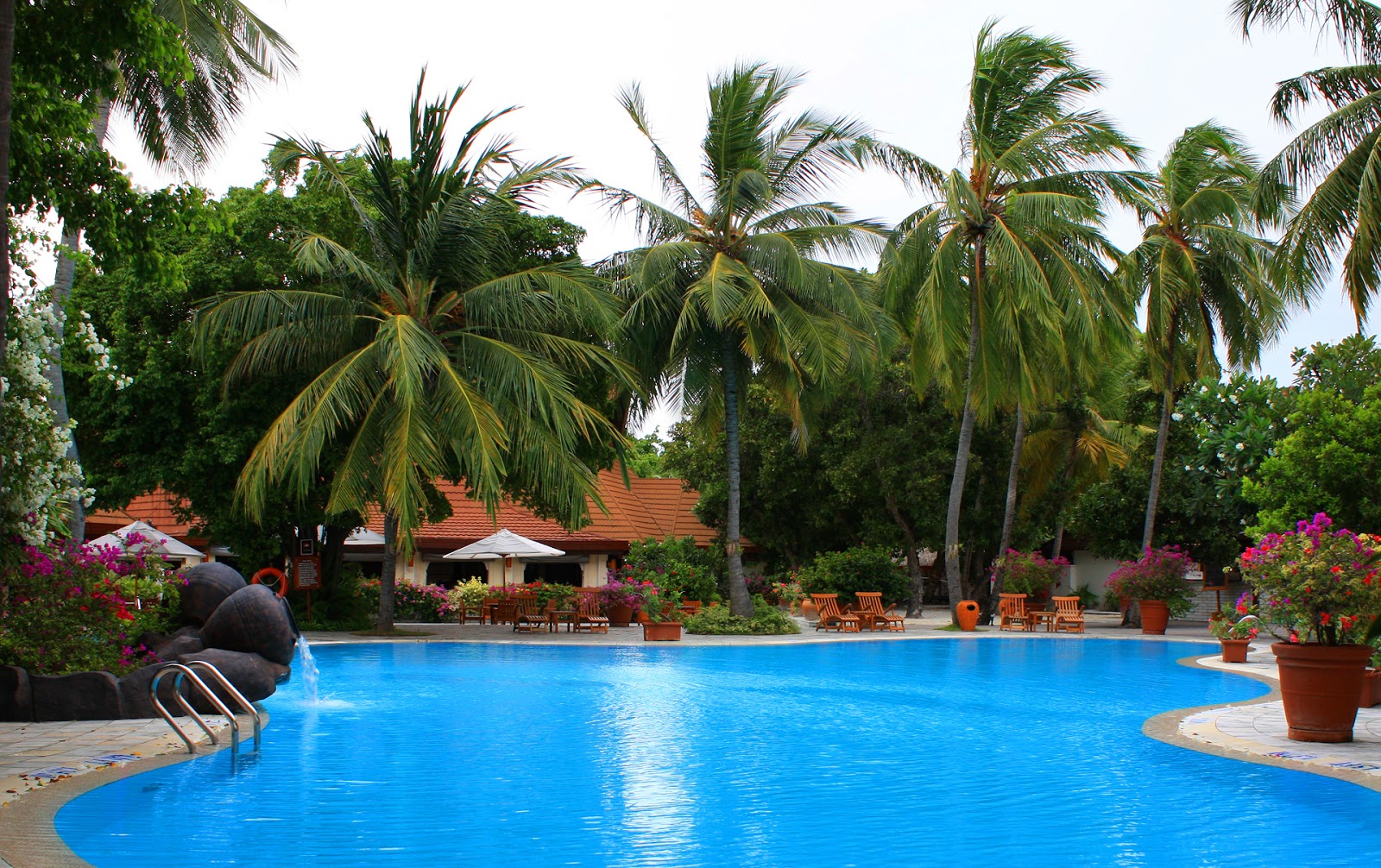 Imágene Experience: Piscina de agua clara con cabañas y palmeras...