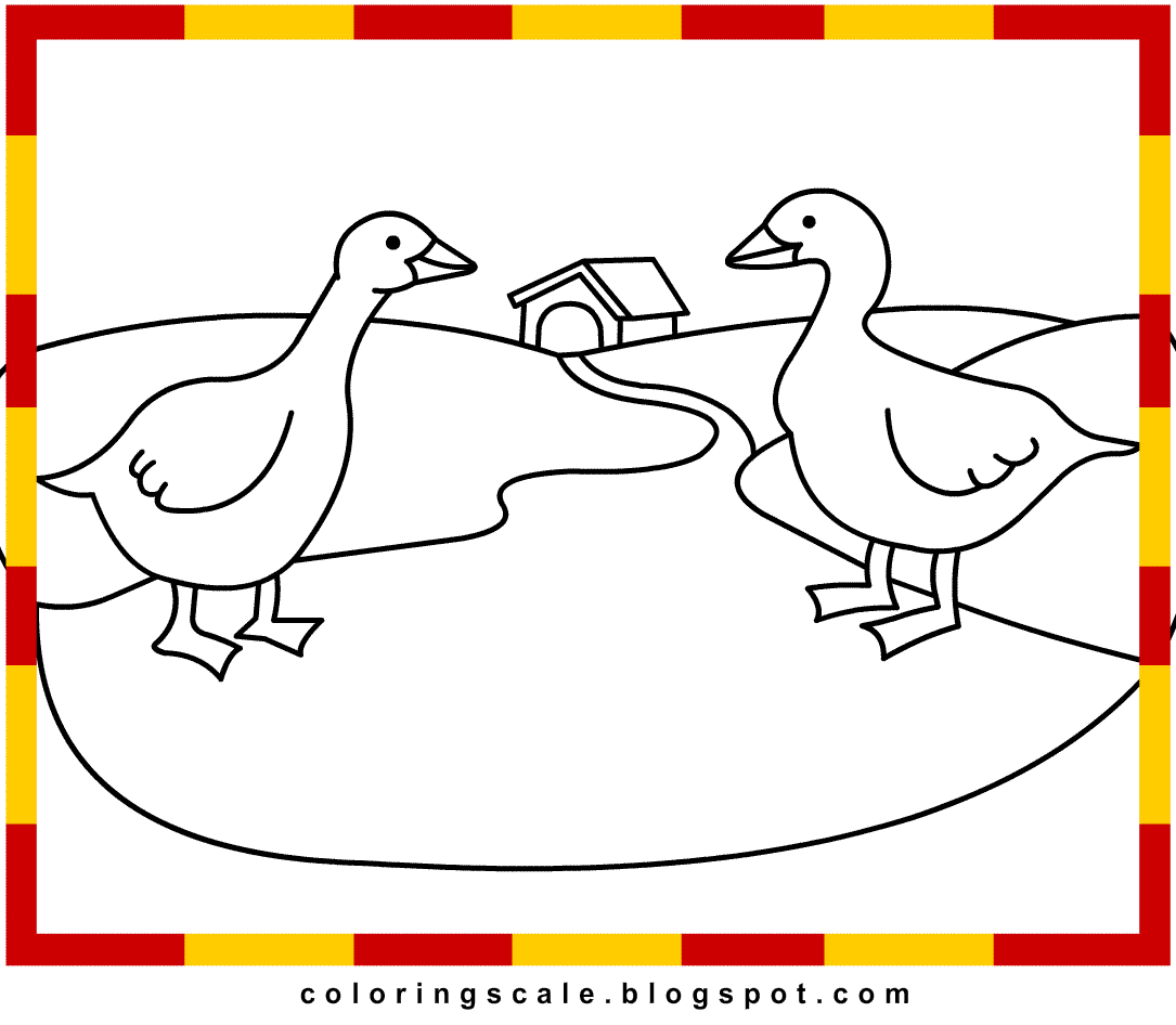 Coloring Pages Printable for kids: Goose Coloring pages for kids