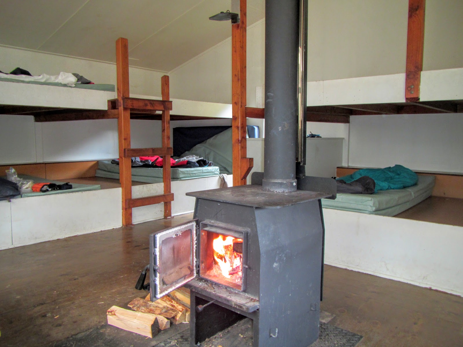 Tramping in the New Zealand backcountry: NZ Bush Adventures: Whats in a ...