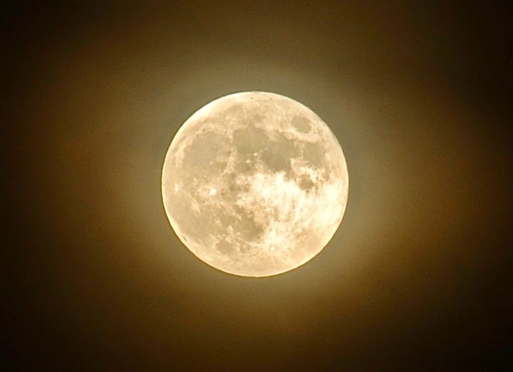 The Vulgar Curmudgeon: Once A Century Honey Moon Tonight