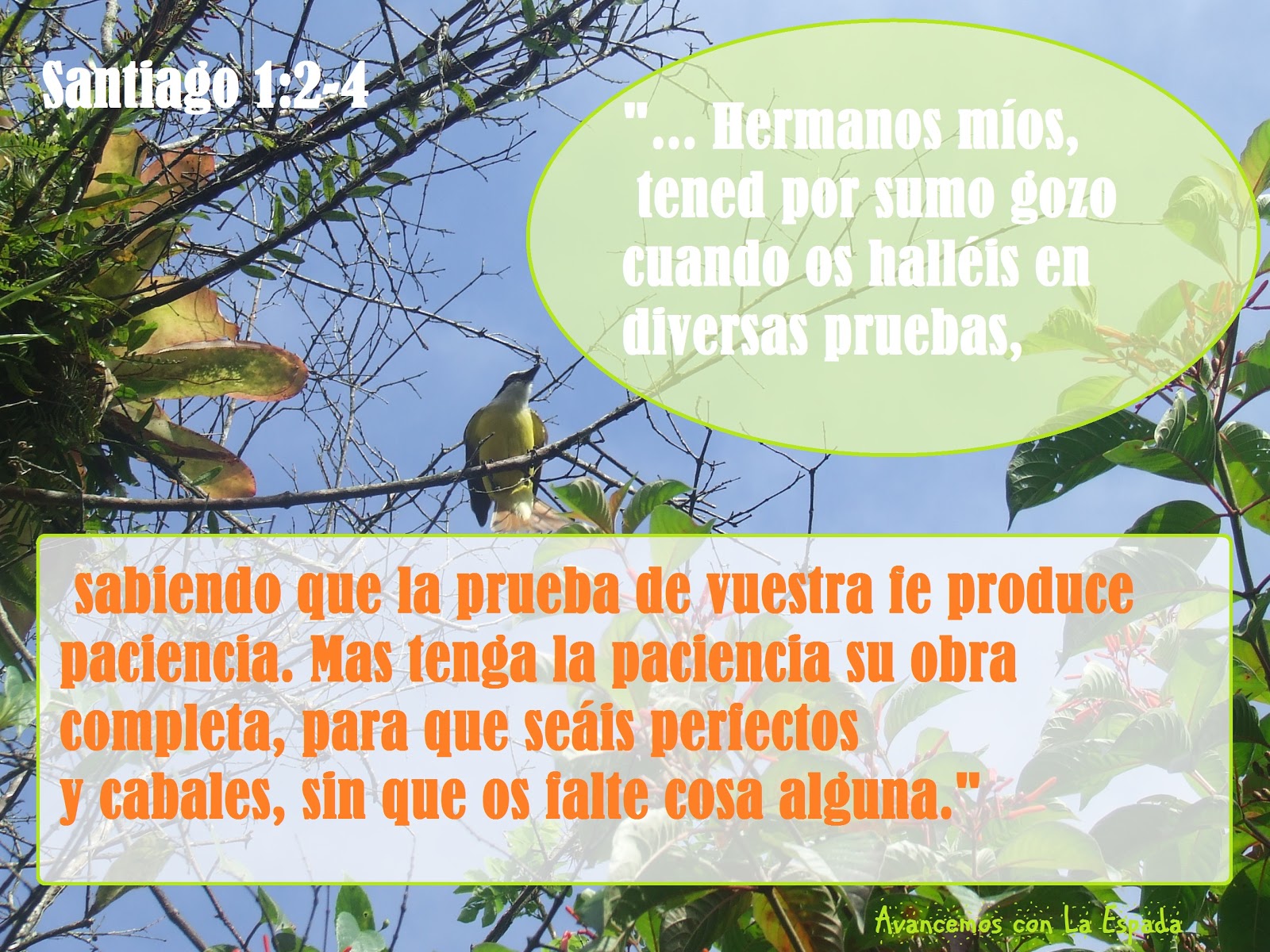 Avancemos con La Espada: Hermanos míos, tened por sumo gozo cuando os ...