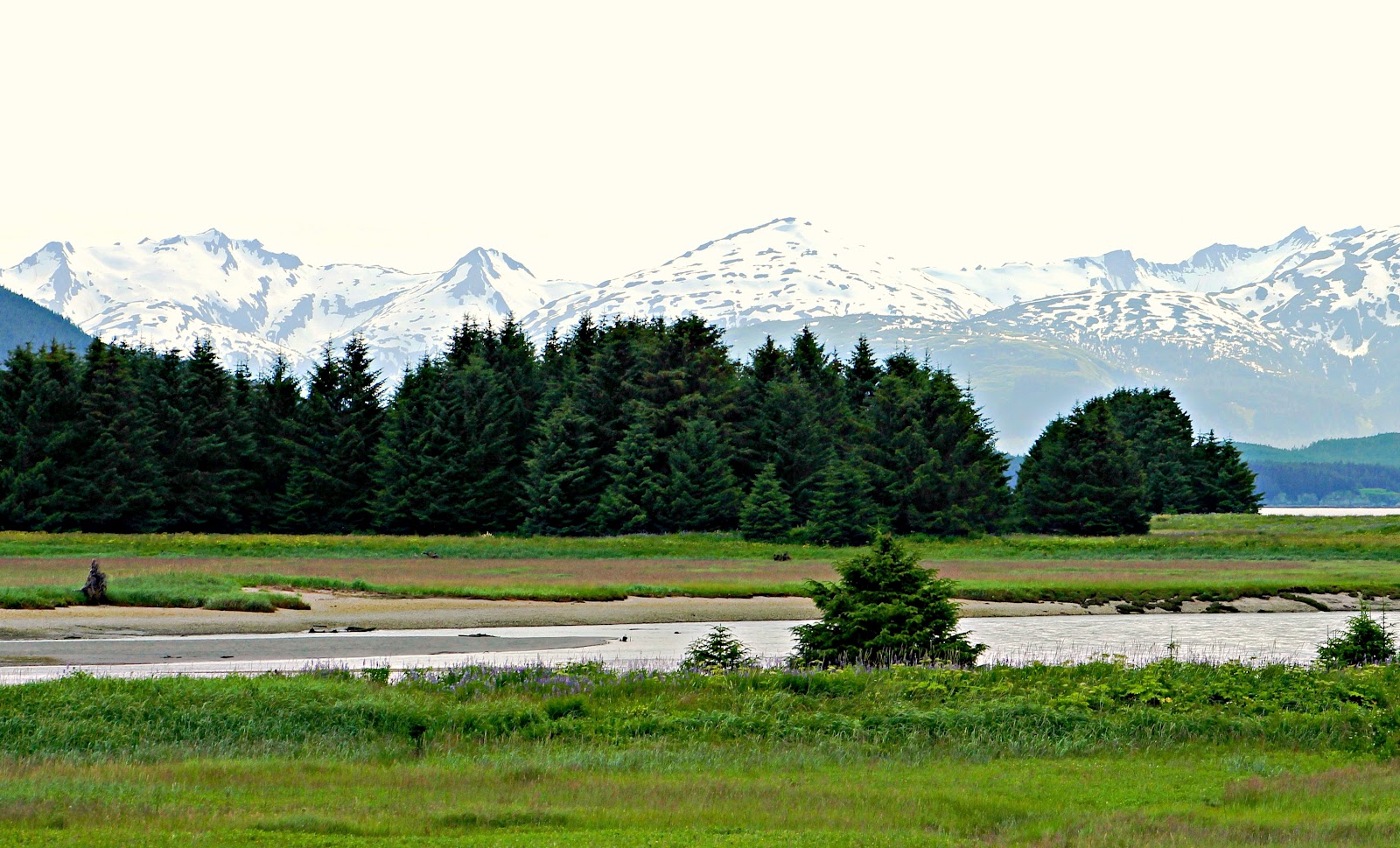 Sandra's Alaska Photography: Mid-July 2012: An Afternoon "Out the Road ...